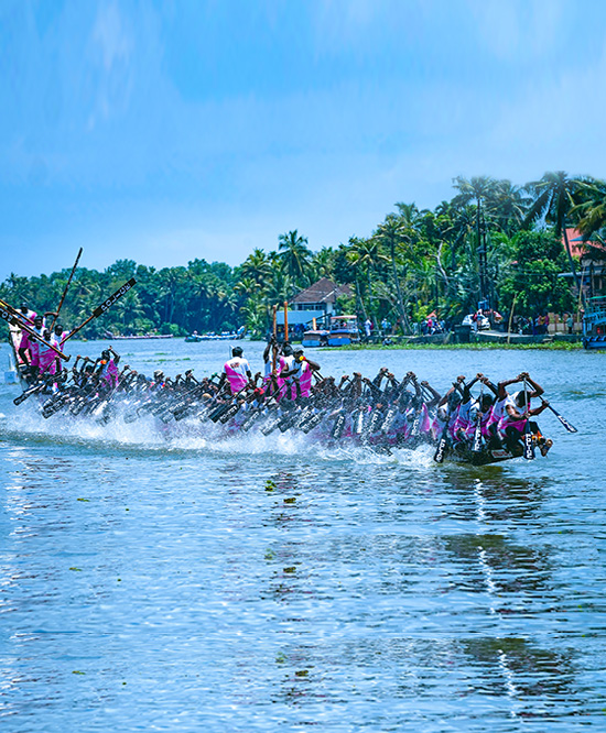 Top Attractions And Activities To Enjoy In Ashtamudi | The Leela