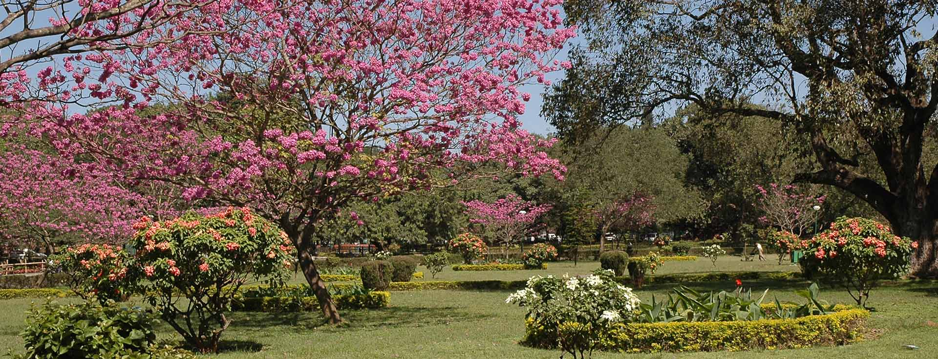 Cubbon Park | The Leela Palaces Hotels and Resorts