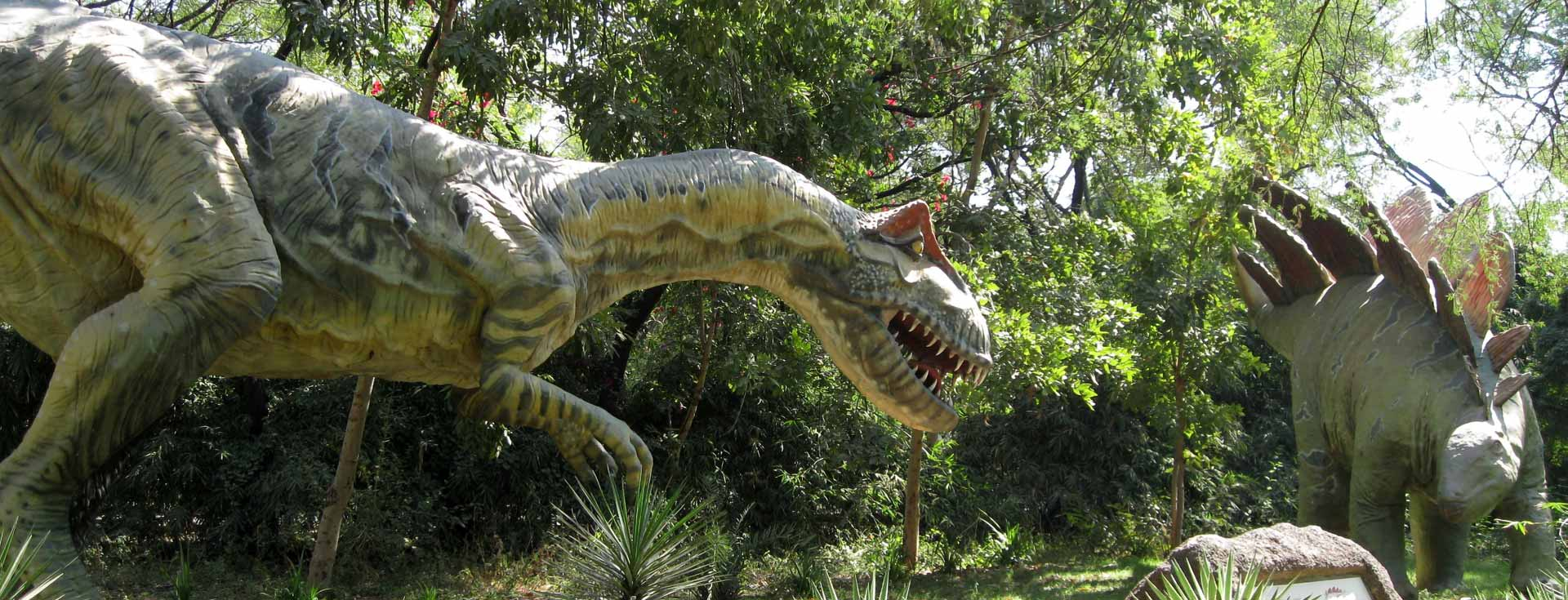 Explore Indroda Dinosaur and Fossil Park | The Leela Gandhinagar